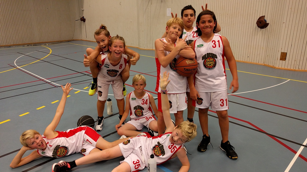 Viby Basket - Herrar U19 (P06/07)