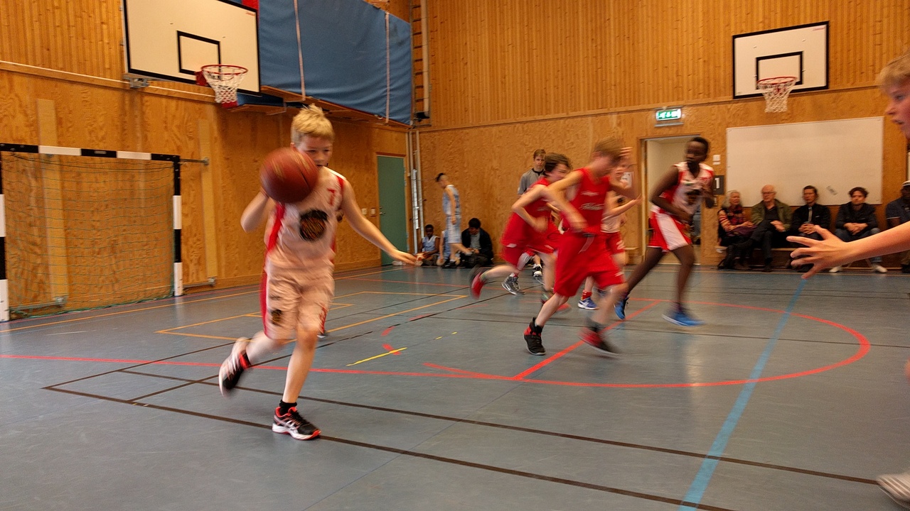 Viby Basket - Herrar U19 (P06/07)